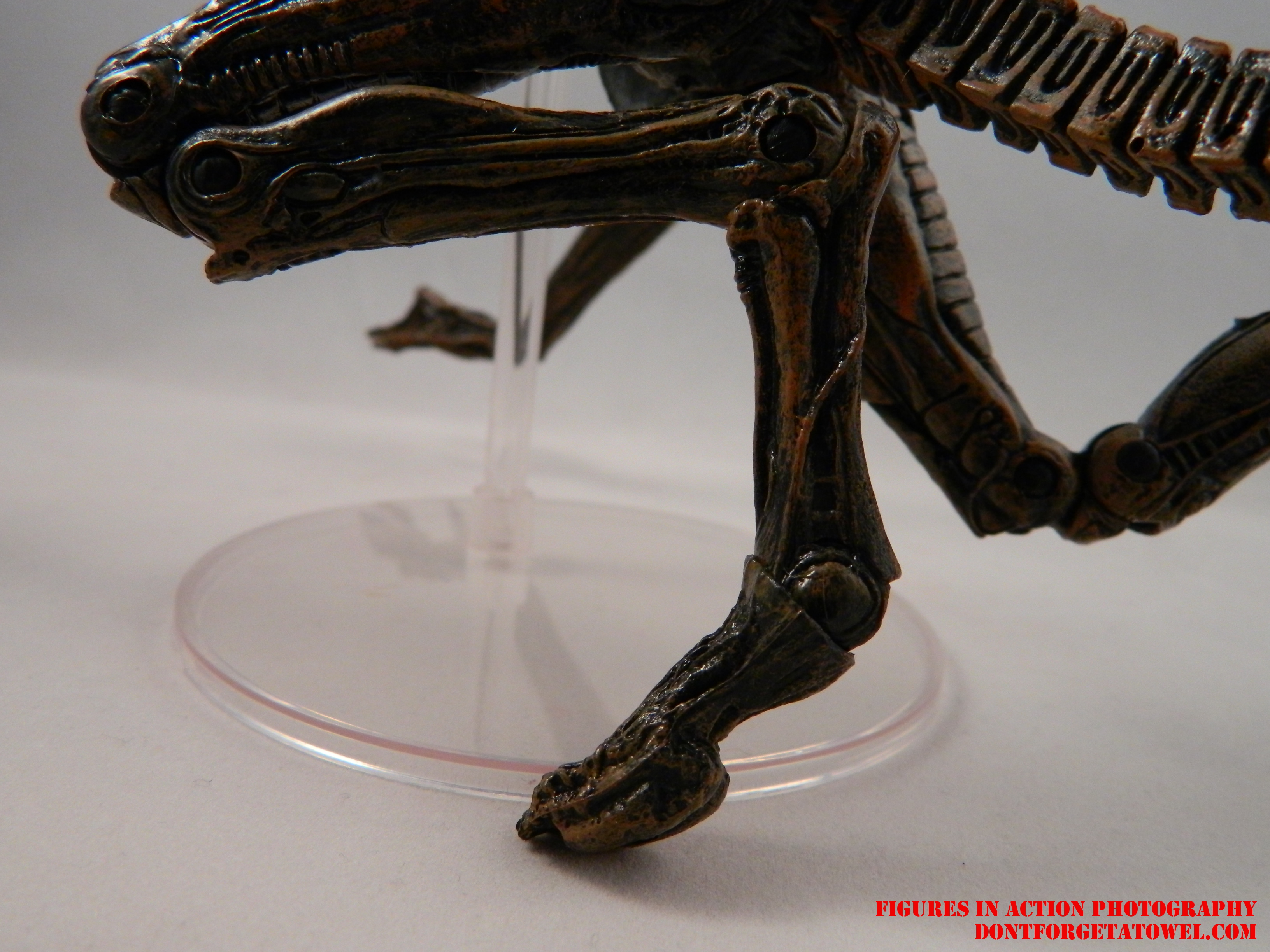 NECA Aliens Series 3 Dog Alien 12 | Don't Forget A Towel